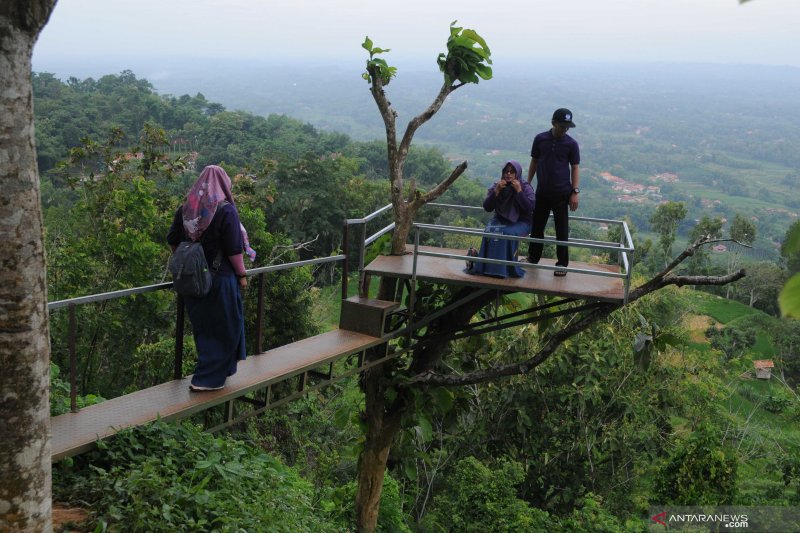 Wisata puncak ratu di Pamekasan - ANTARA News Jawa Timur