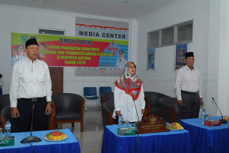 Wakil Bupati Natuna satukan persepsi atasi stunting - ANTARA News ...