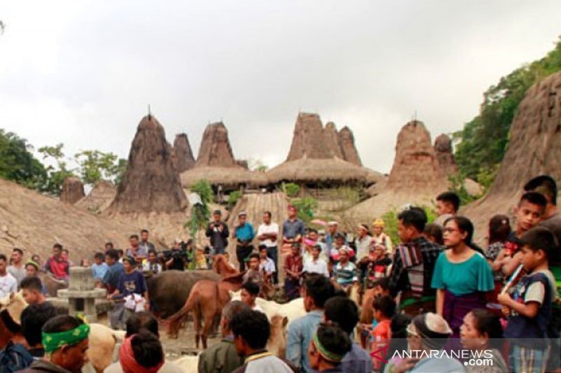 Gereja perlu dialog bersama para rato di Sumba soal kawin tangkap - ANTARA News