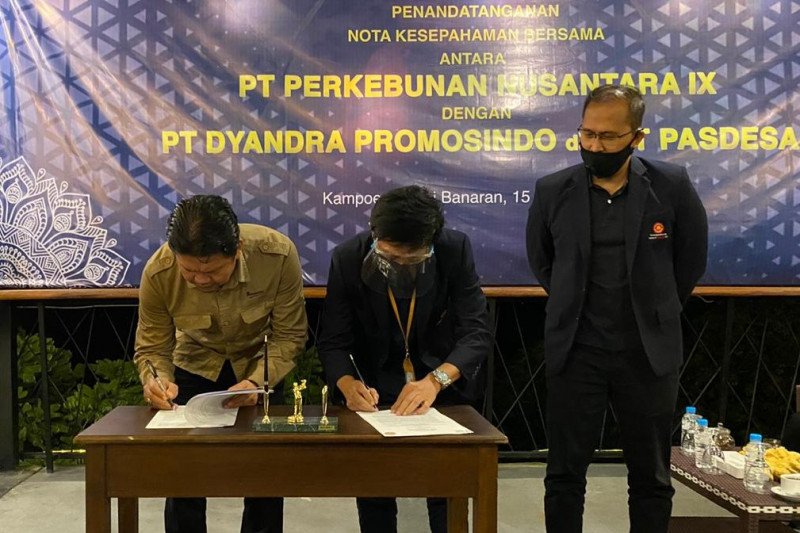 PTPN IX gandeng Dyandra Promosindo kelola Kampoeng Kopi Banaran ...