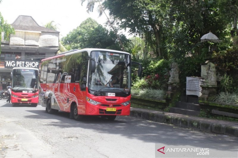 Dishub Gianyar buka trayek bus Ubud-Denpasar - ANTARA News