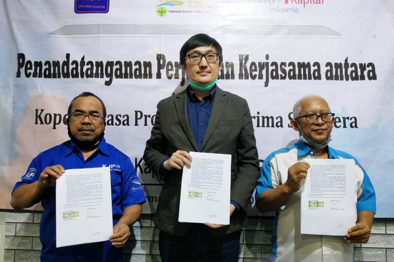 Koperasi Cipta Prima Sejahtera kerja sama dengan PT MKI dukung petani ...