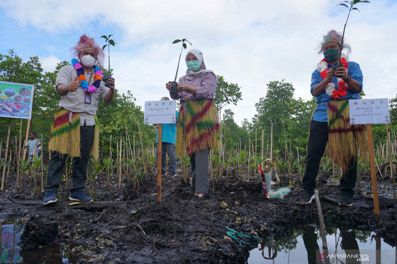 Restorasi hutan mangrove di Papua Barat - ANTARA News