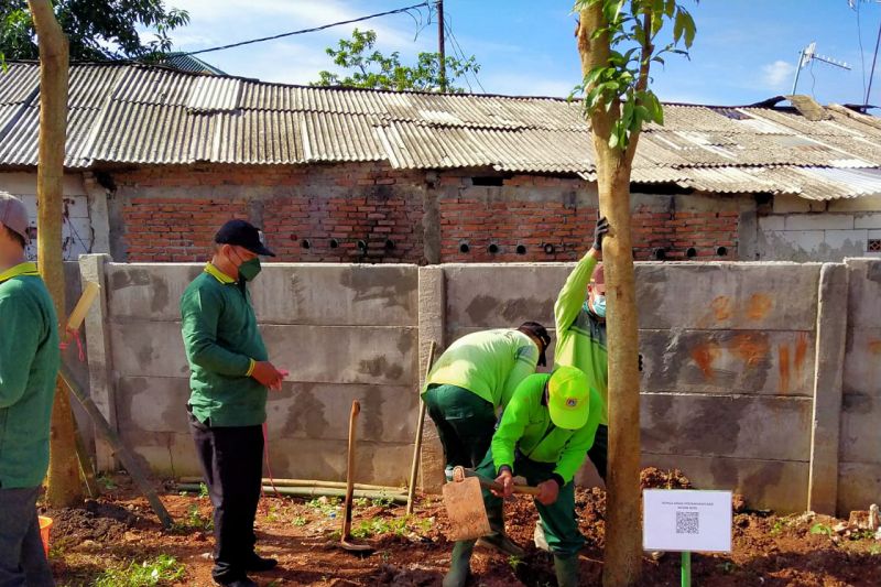 Puluhan pohon ditanam di TPU Ceger dan Bambu Apus - ANTARA News