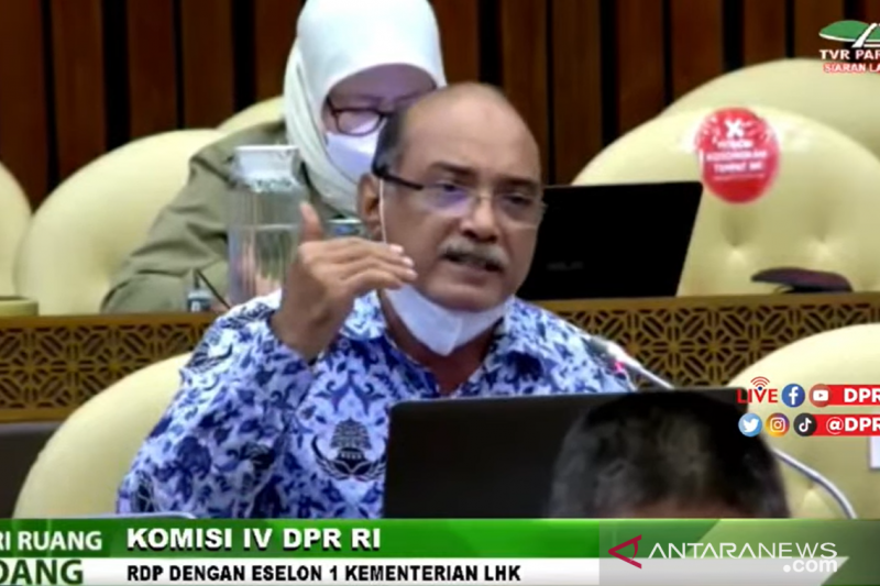 KLHK fokus tata ruang perkuat daya tampung air atasi banjir Kalimantan ...