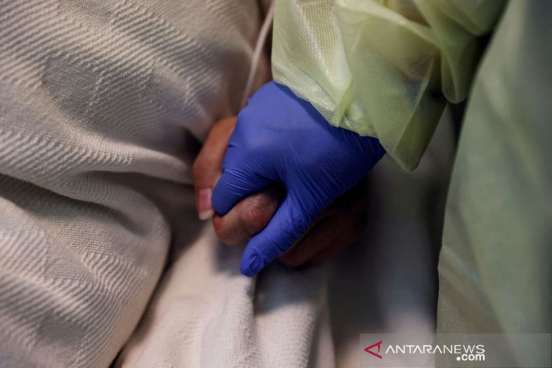 Korupsi APD di Kemenkes rugikan negara ratusan miliar rupiah - ANTARA News Kalteng