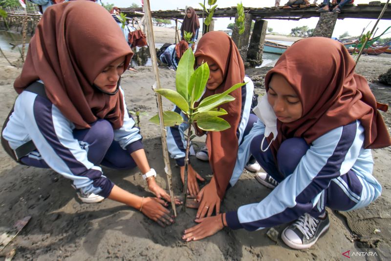 BRIN: Jaga kelestarian lingkungan maknai Hari Lingkungan Hidup Sedunia ...