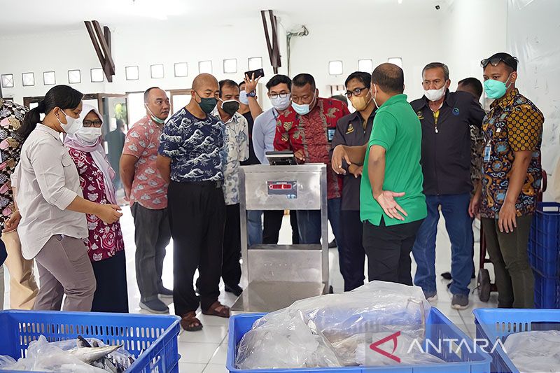 PNBP perikanan tangkap semester I-2022 hampir lampaui 2021 - ANTARA News