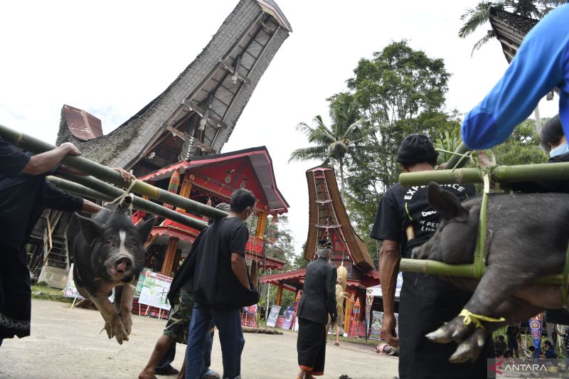 Prosesi Rambu Solo di Tana Toraja - ANTARA News