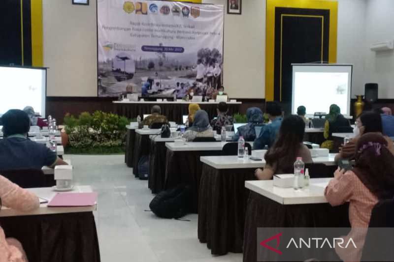 Kementan: program "Food Estate" untungkan petani - ANTARA News Kepri