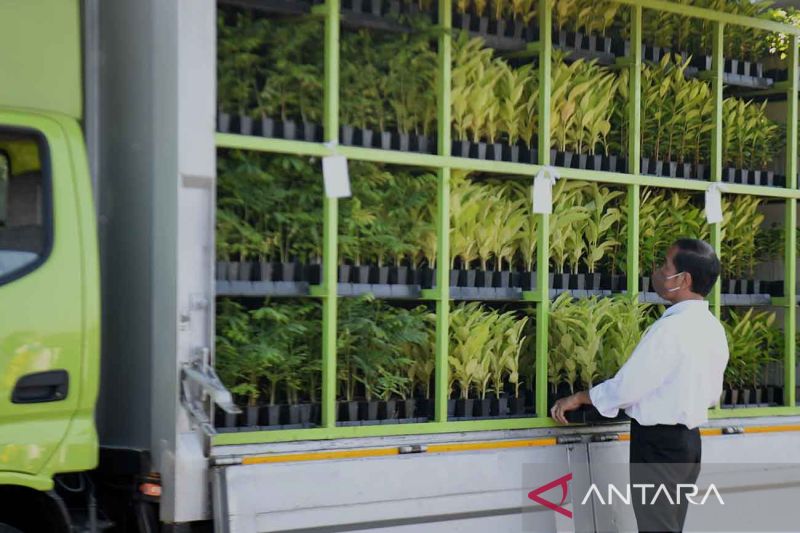 Presiden resmikan Persemaian Rumpin Bogor - ANTARA News