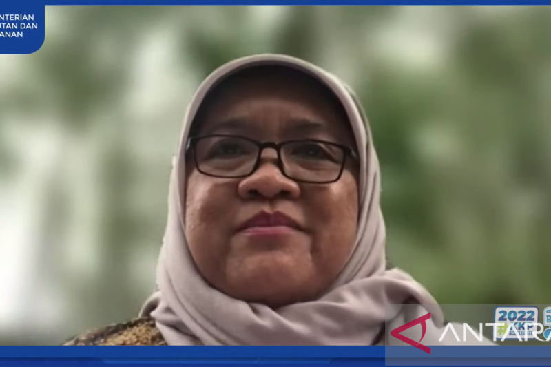 Kemendes PDTT dukung "smart fisheries village" di daerah tertinggal ...