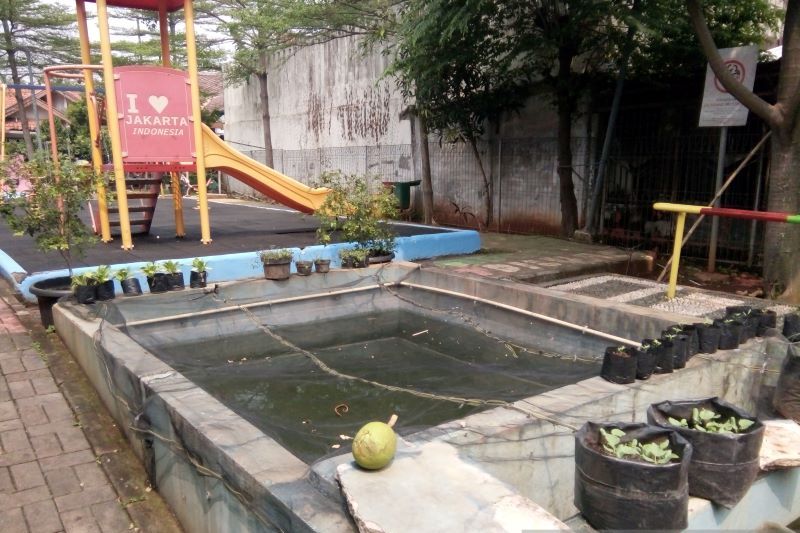 Kolam Gizi, model sederhana ketahanan nasional - ANTARA News