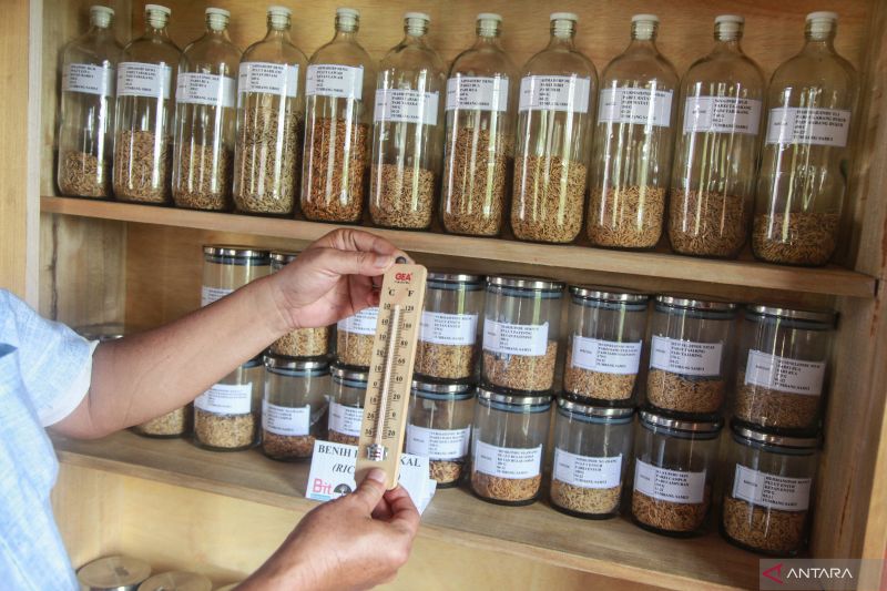 BRIN building seed bank to protect plants from extinction - ANTARA News