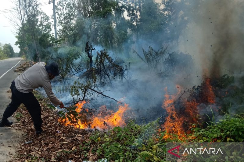 Turning haze into clear skies: Indonesia’s war on forest fires - ANTARA ...