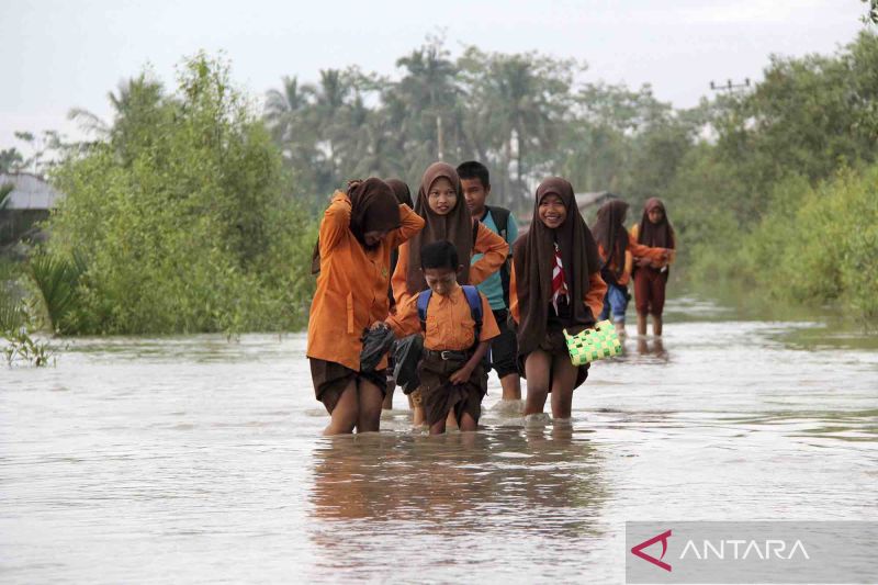 Banjir rob rendam Rokan Hilir di Riau - ANTARA News