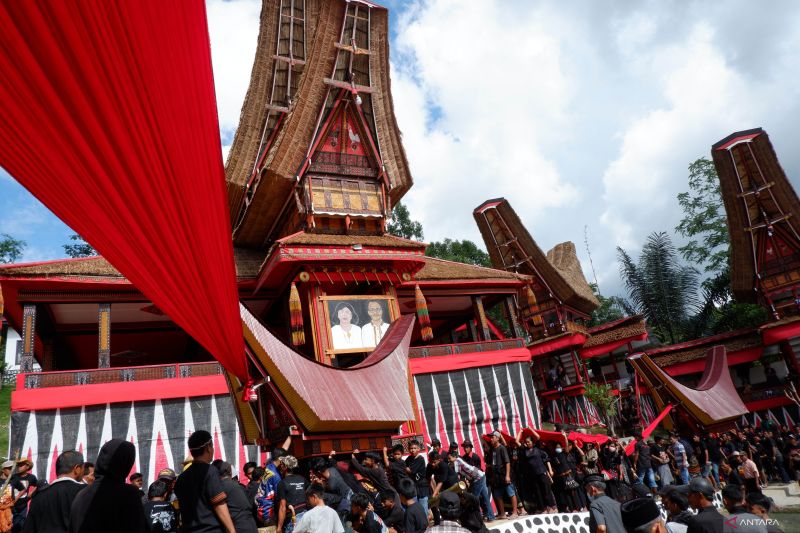 Prosesi Ma'pasonglo di Tana Toraja - ANTARA News