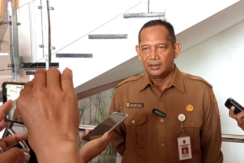 BPBD Kalsel: masalah Karhutla dapat dikendalikan - ANTARA News Kalimantan Selatan