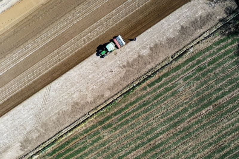 BDS China jadi sistem navigasi kelas dunia - ANTARA News