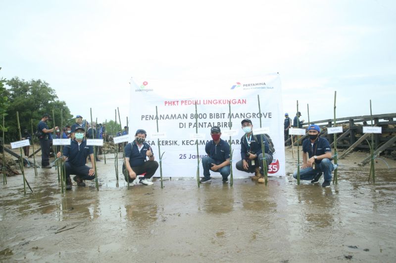 PHKT berdayakan warga melalui pengembangan desa wisata dan kopi luwak ...