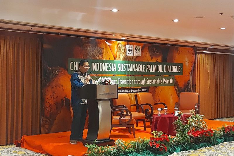 WWF dorong perdagangan minyak sawit berkelanjutan Indonesia-China ...