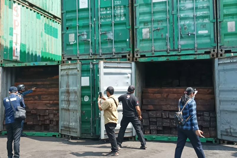 KLHK bongkar peredaran kayu ilegal 57 kontainer asal Papua - ANTARA News