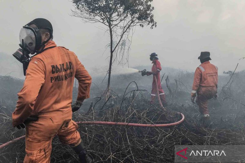 Upaya pemadaman kebakaran hutan dan lahan di Pangkalan Bun, Kalimantan Tengah - ANTARA News