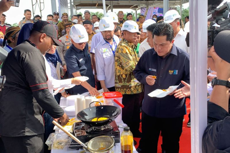 Menteri BUMN Tinjau Progress Pembangunan Pabrik Minyak Makan Merah di Sumatera Utara - ANTARA News