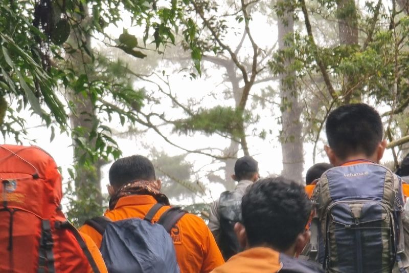 Basarnas: 164 pendaki sudah dievakuasi turun dari Gunung Marapi ... Basarnas: 164 pendaki sudah dievakuasi turun dari Gunung Marapi ...