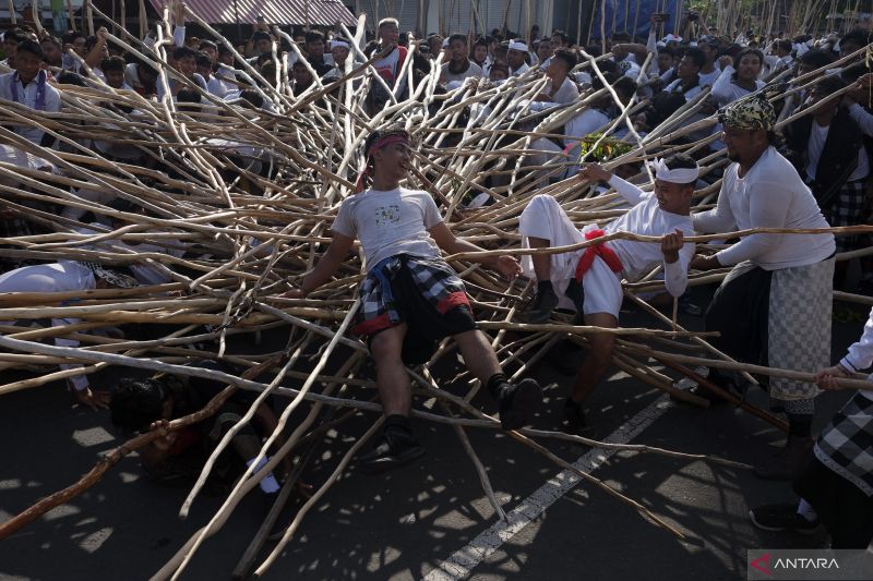 Tradisi Mekotek saat Hari Raya Kuningan di Bali - ANTARA News