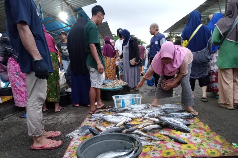 Pemkot Mataram Segera Membangun Pasar Ikan Higienis Antara News