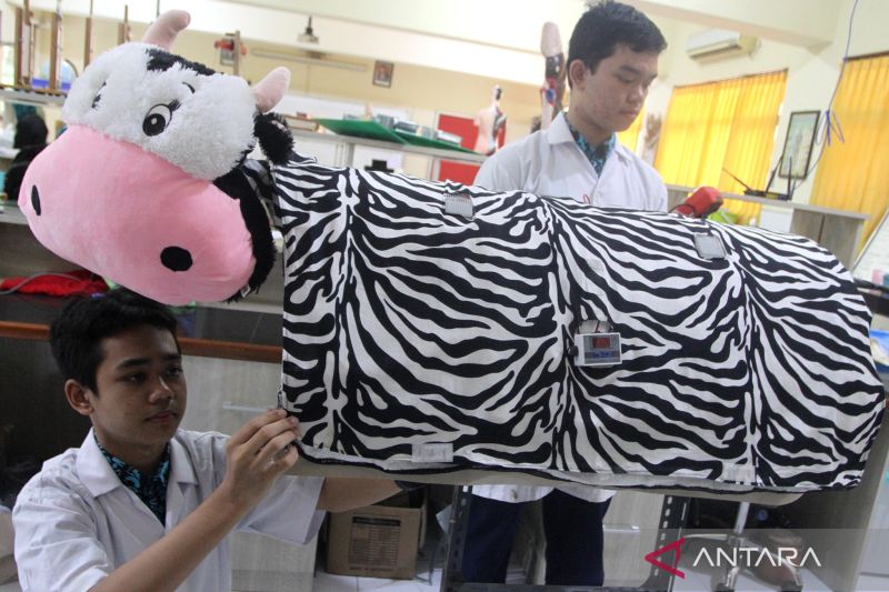 Selimut sapi perah elektronik - ANTARA News Jawa Timur