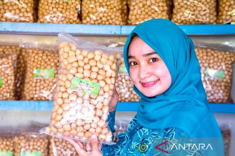 IPB digandeng Pemkab Natuna tingkatkan mutu produk UMKM hasil laut ...