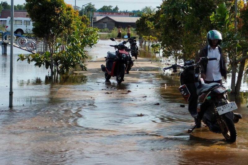 Banjir rob rendam rumah warga kawasan pesisir Jambi - ANTARA News