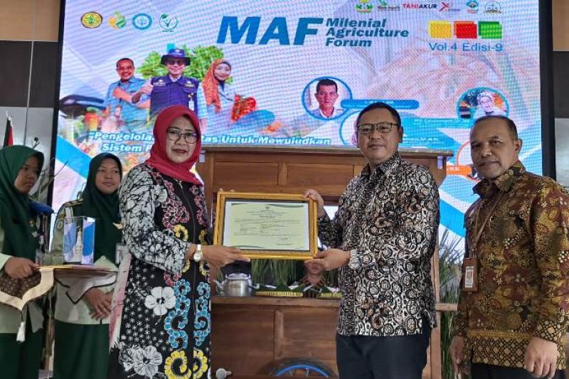 Benih varietas unggul penting untuk dongkrak produktivitas pertanian ...