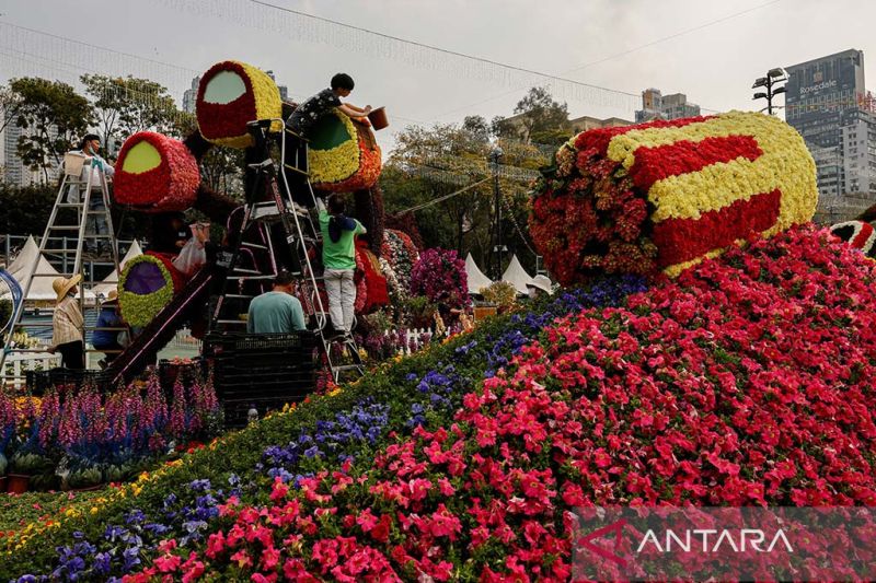 Warna-warni bunga dipamerkan di Hong Kong - ANTARA News