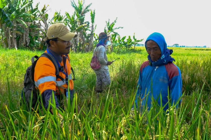 WPI targetkan kemitraan dengan petani capai 10 ribu ha - ANTARA News