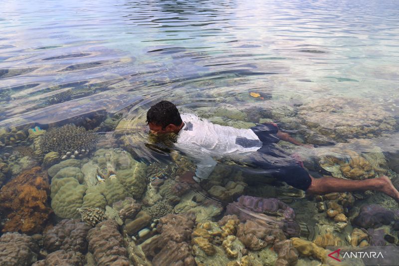 Mencari ikan menggunakan alat tradisional di Pulau Bacan - ANTARA News