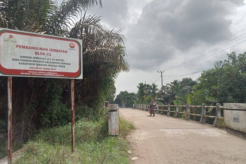Jembatan Blok C-1 bantuan SKK Migas PetroChina Desa Pandan Makmur Kecamatan Geragai permudah ...