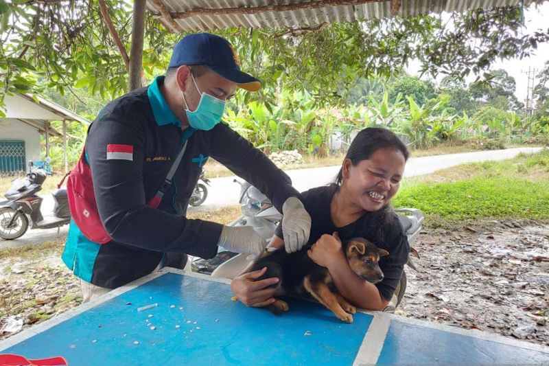 Kalbar usulkan penambahan vaksin rabies untuk kejar cakupan 70 persen ...