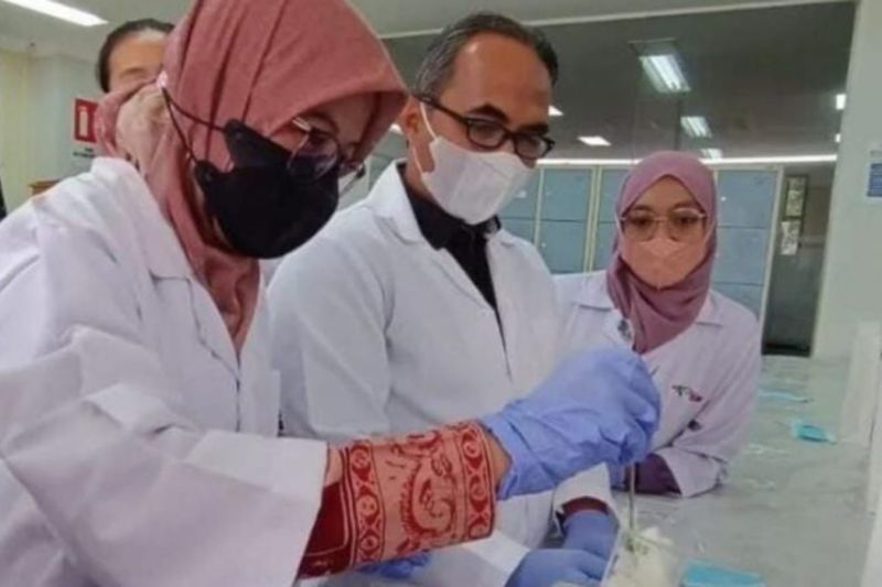 Dosen Unja olah buah pedada jadi peningkat sistem imun tubuh - ANTARA News