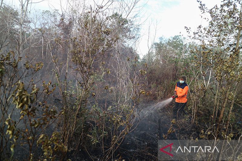 KLHK catat luas kebakaran hutan dan lahan capai 28 ribu hektare - ANTARA News