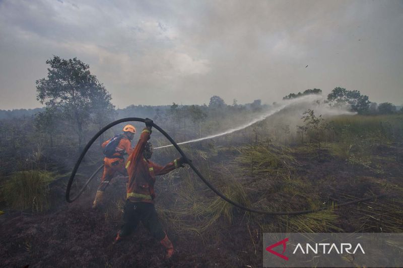Kebakaran hutan dan lahan di Kalimantan Selatan - ANTARA News