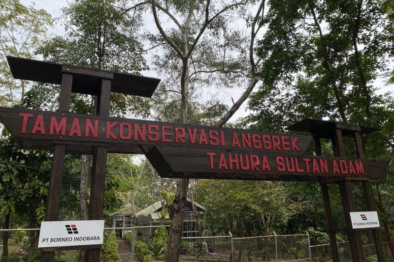 S Kalimantan's Sultan Adam Forest housing over 100 rare orchids ...