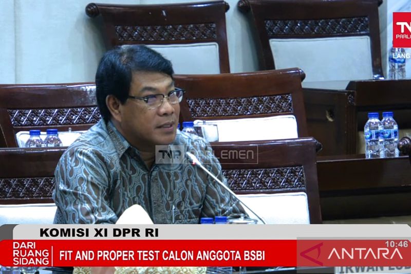 Calon Anggota BSBI: Unsur risiko perlu dalam analisis kewenangan BI - ANTARA News