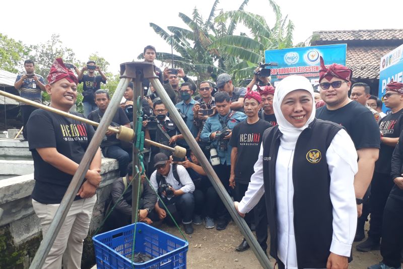 Khofifah ajak masyarakat budi daya ikan lele, pasarnya luar biasa ...