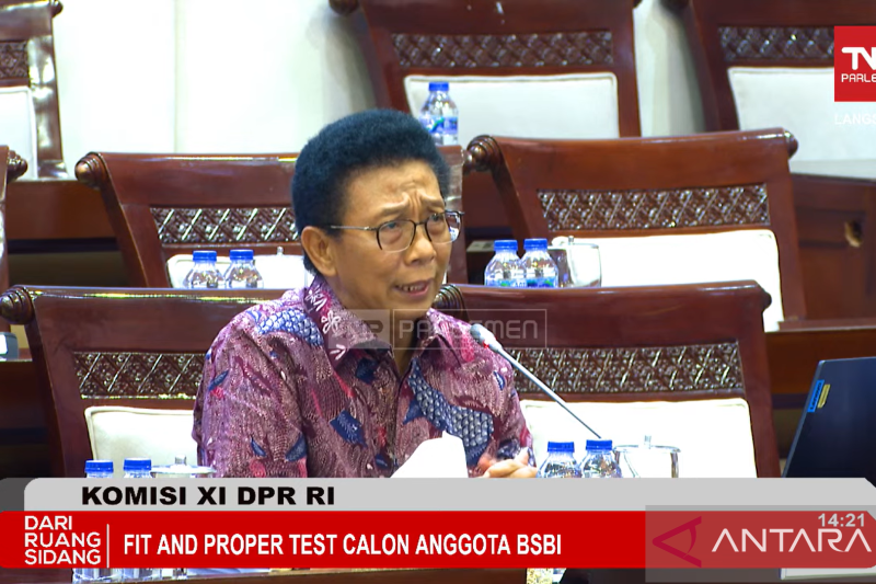 Calon Anggota BSBI usulkan penambahan anggota lebih dari lima orang ...