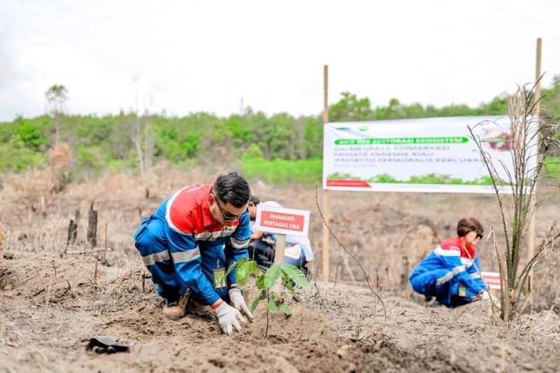 Pertagas tanam 1.200 pohon untuk konservasi primata endemik Riau ...