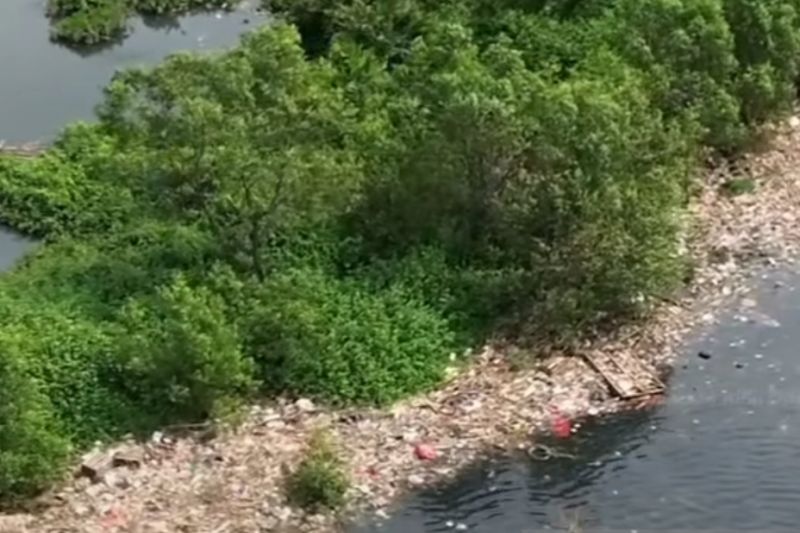 Endapan sampah di hutan mangrove, tapi bukan di Suaka Margasatwa - ANTARA News