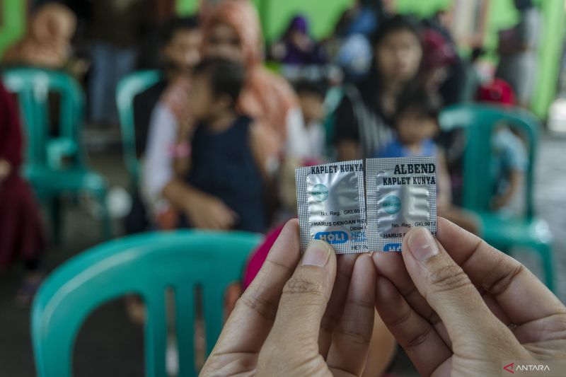 6 obat cacing alami untuk basmi cacingan pada orang dewasa - ANTARA News